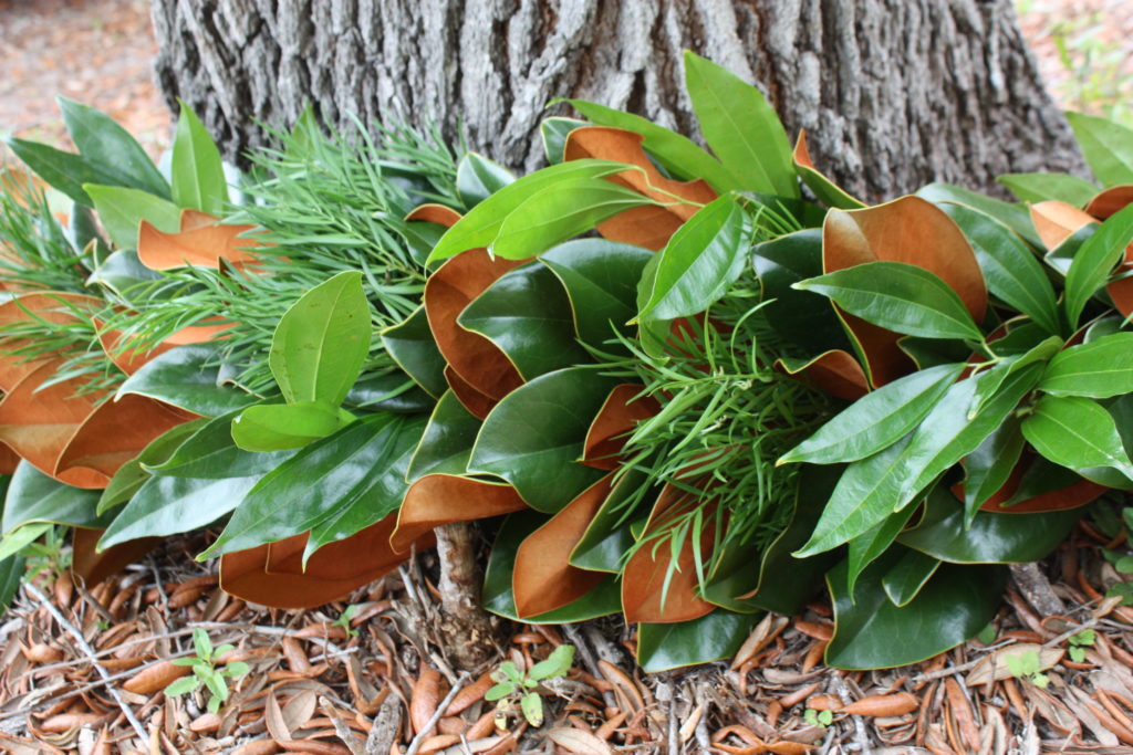 Cocculus, Magnolia & Podocarpus Garlands - Alpha Fern