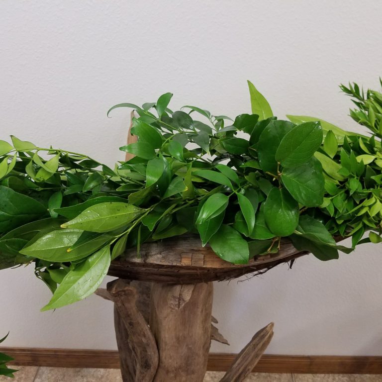 Cocculus & Eucalyptus Garlands - Alpha Fern