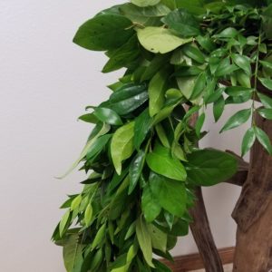 Cocculus, Nagi & Salal Garlands - Alpha Fern