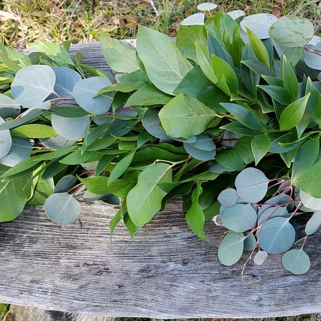 Eucalyptus, Nagi & Salal Garlands - Alpha Fern
