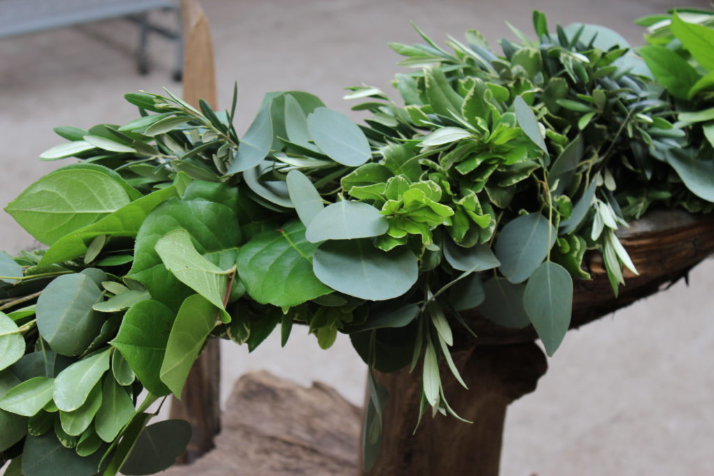 Eucalyptus, Olive, Pittosporum & Salal Garlands - Alpha Fern