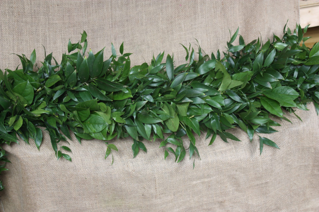 Italian Ruscus, Nagi & Salal Garlands - Alpha Fern