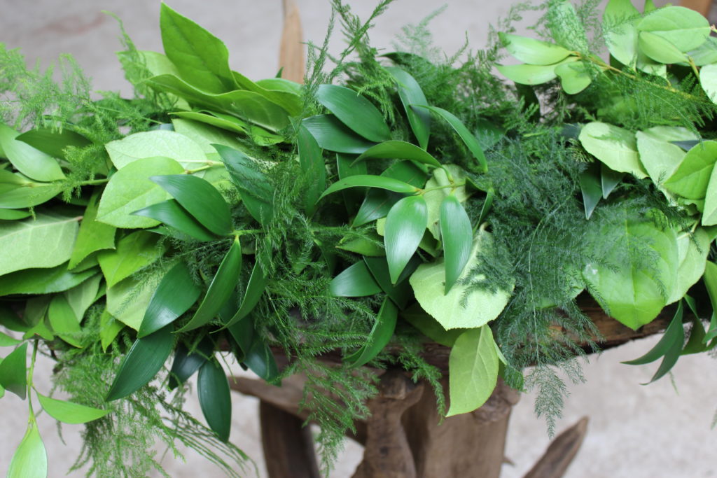 Nagi, Plumosus & Salal Garlands - Alpha Fern