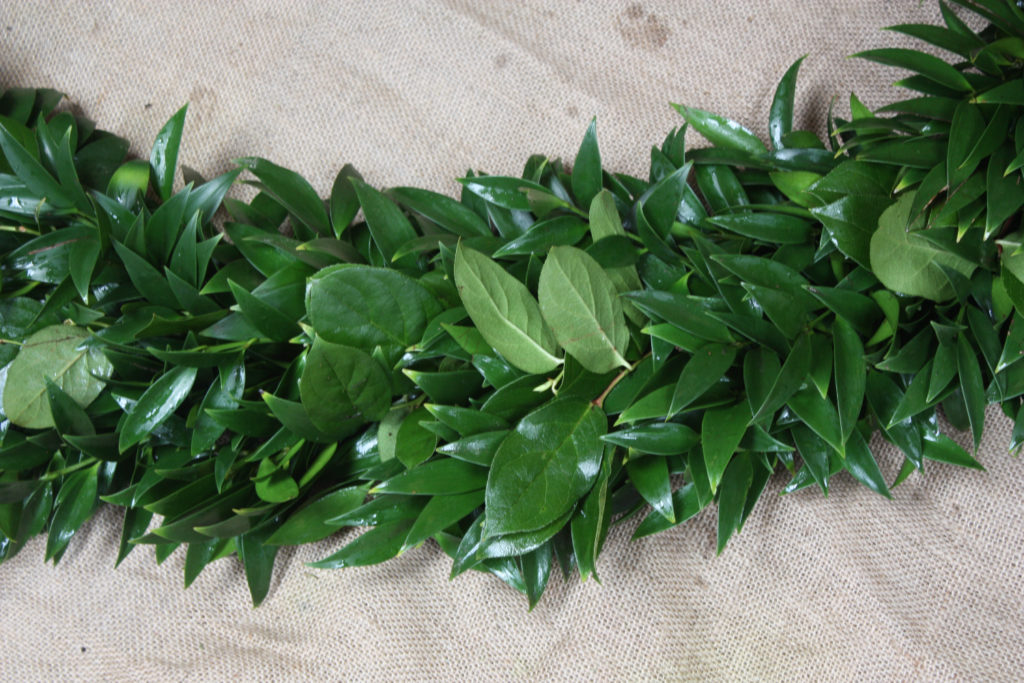 Nagi & Salal Garlands - Alpha Fern