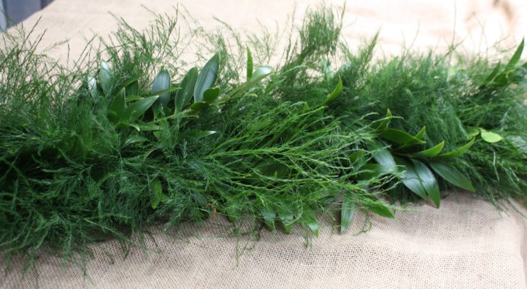 Nagi & Tree Fern Garlands - Alpha Fern