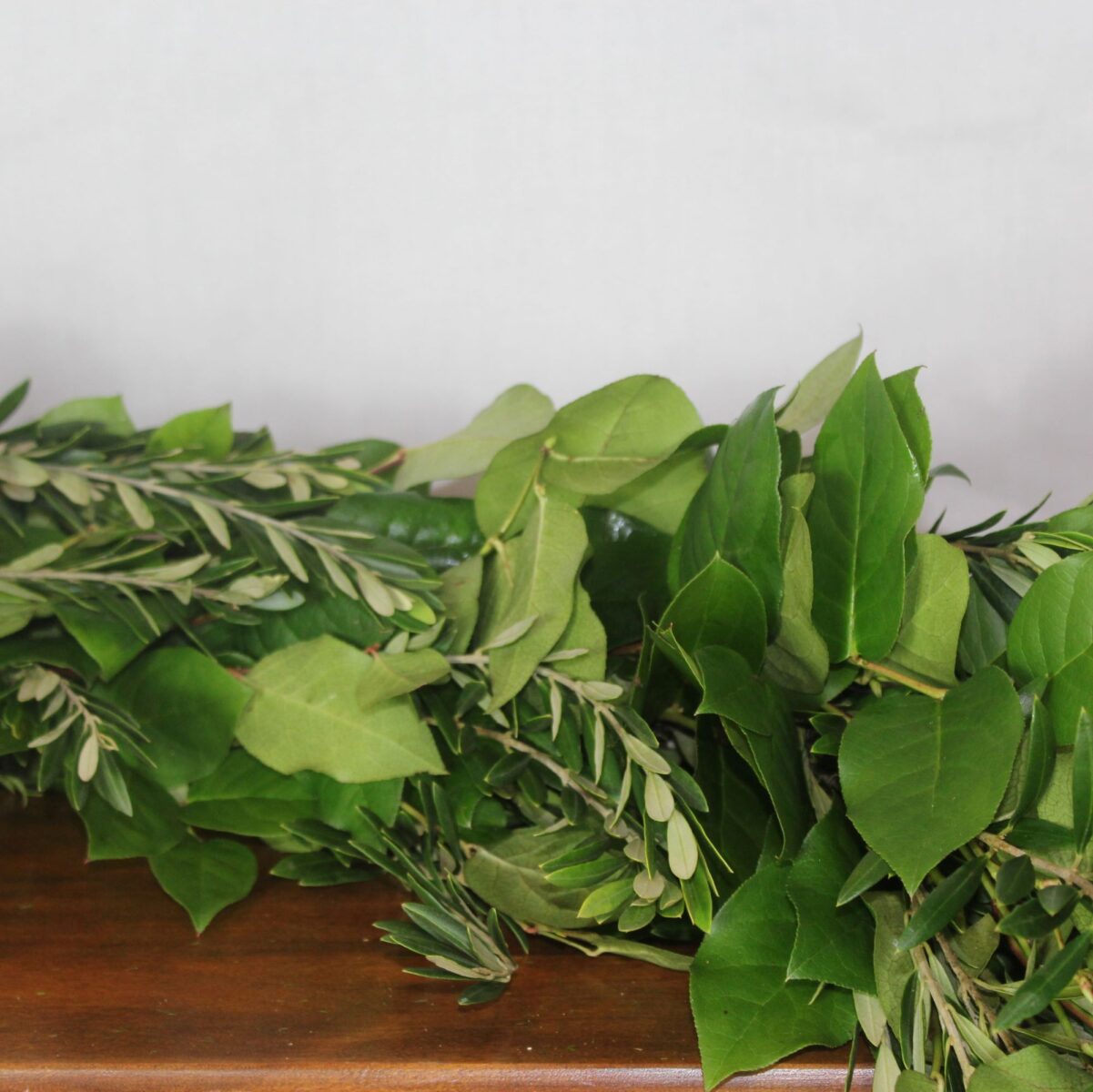 Italian Ruscus Garlands - Alpha Fern