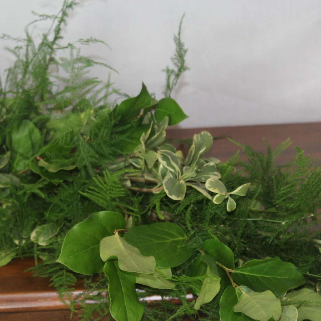 Pittosporum, Plumosus, & Salal Garlands - Alpha Fern