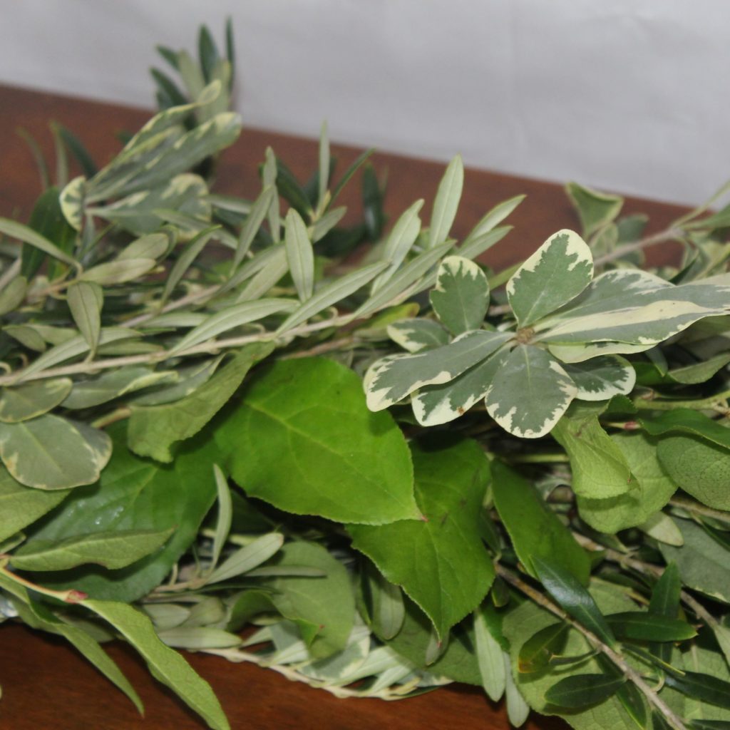 Olive, Pittosporum & Salal Garlands - Alpha Fern