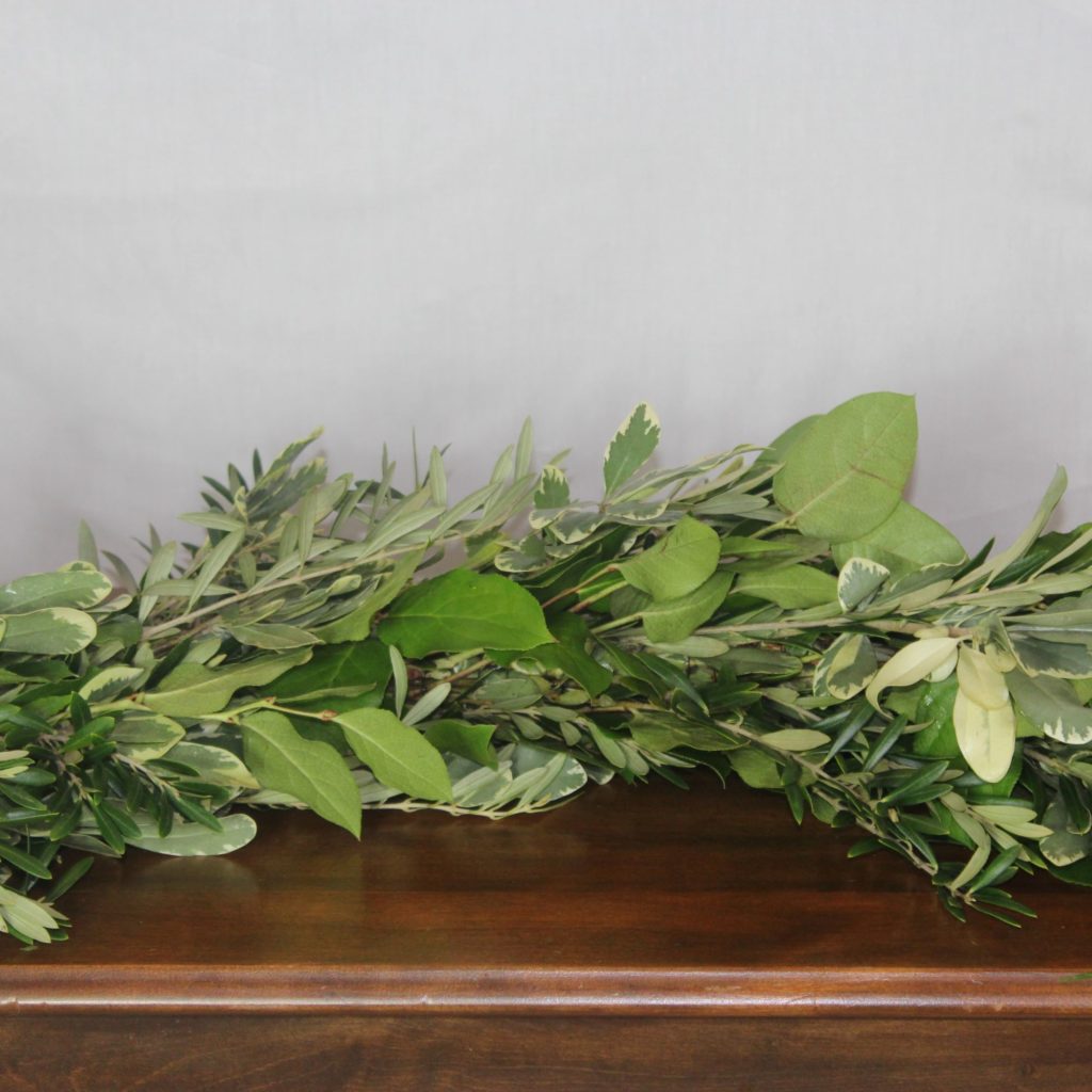 Olive, Pittosporum & Salal Garlands - Alpha Fern