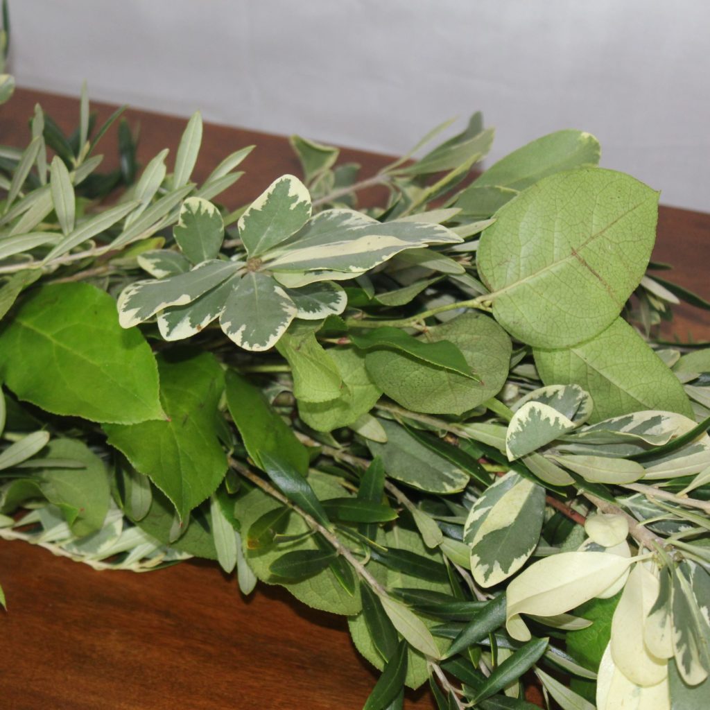 Olive, Pittosporum & Salal Garlands - Alpha Fern