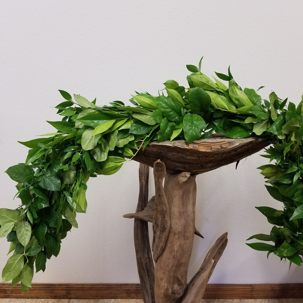 Cocculus, Italian Ruscus, & Salal - Alpha Fern
