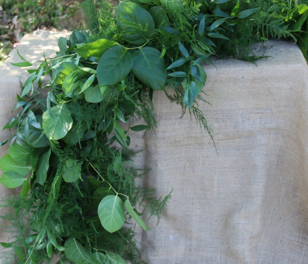 Italian Ruscus, Plumosus & Salal - Alpha Fern