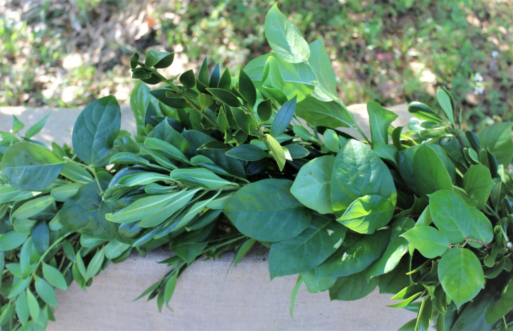 Nagi, Pittosporum & Salal - Alpha Fern