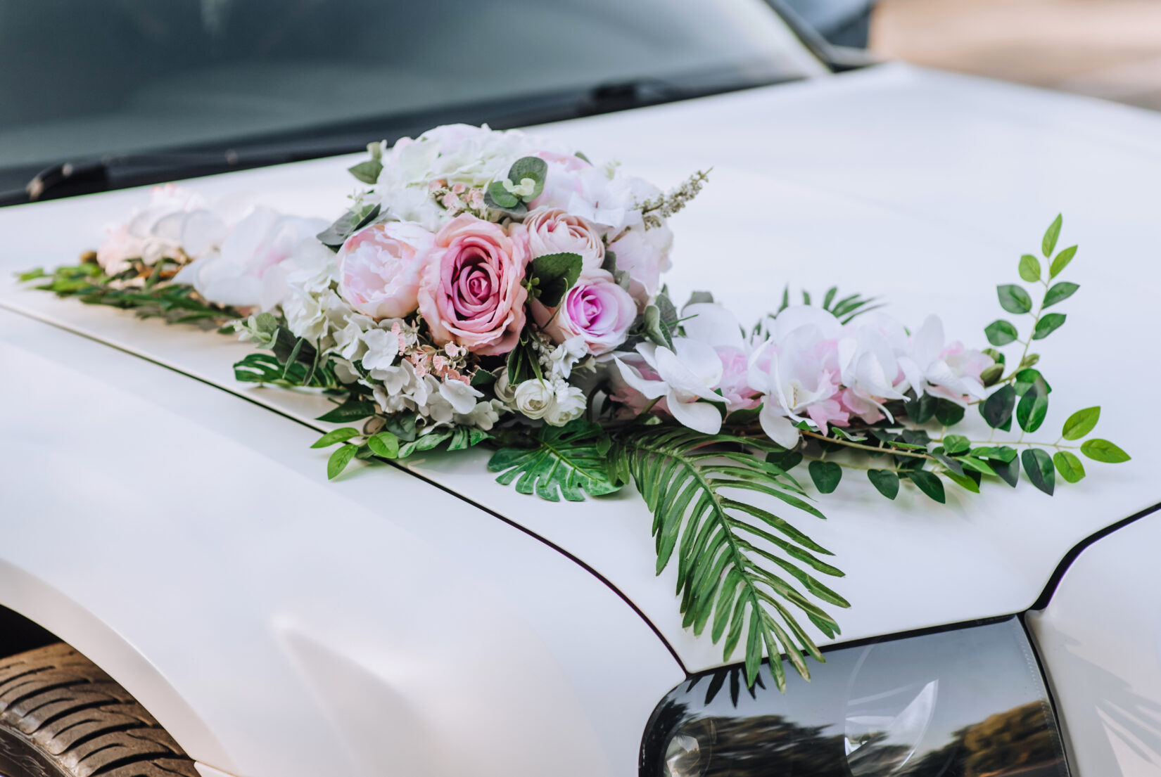 4 Tips for Using Ferns in Spring Floral Arrangements | Alpha Fern