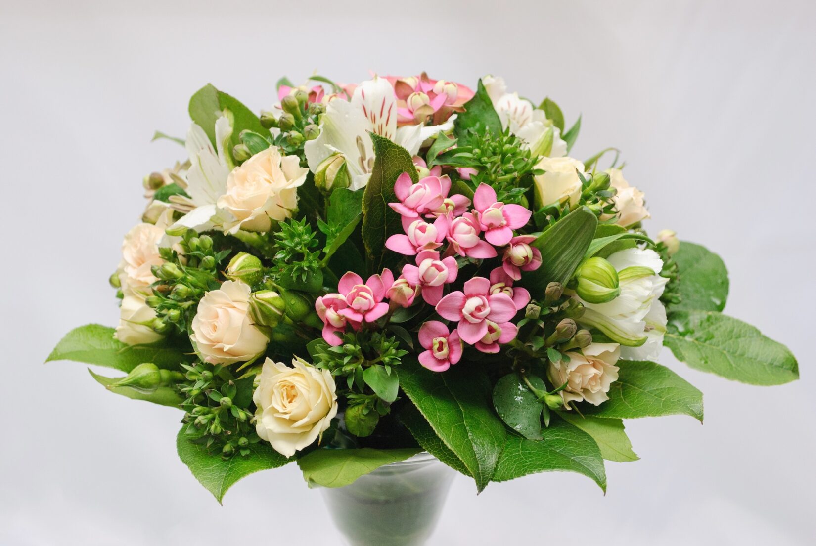 5 Tips for Using Lemon Leaf in Any Arrangement | Alpha Fern