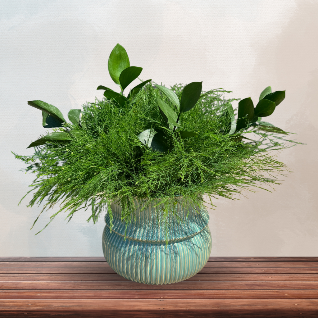 Verdant Pot - Alpha Fern